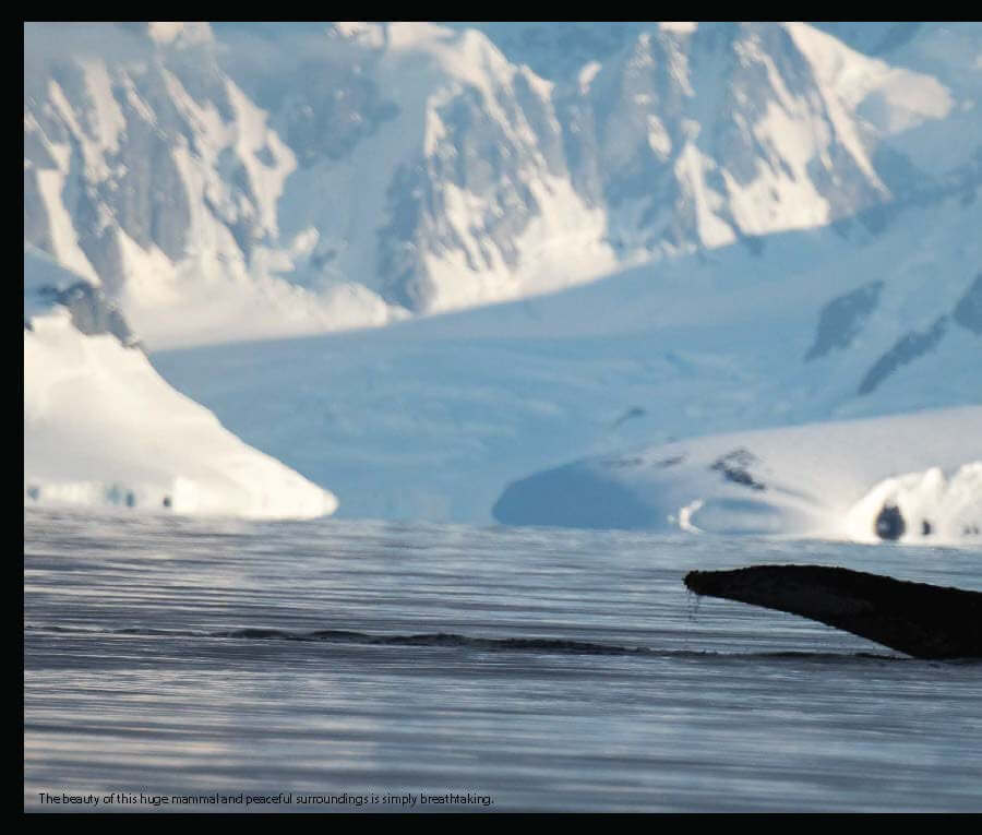 Antarctica Thumbnail 77 – John Kahan