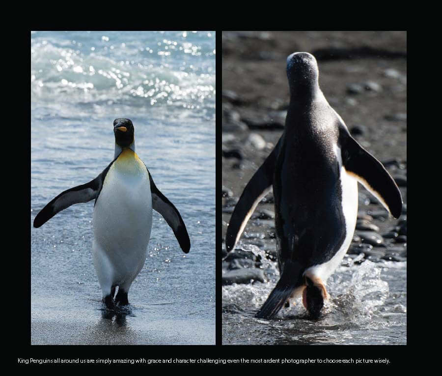 Antarctica Thumbnail 67 – John Kahan