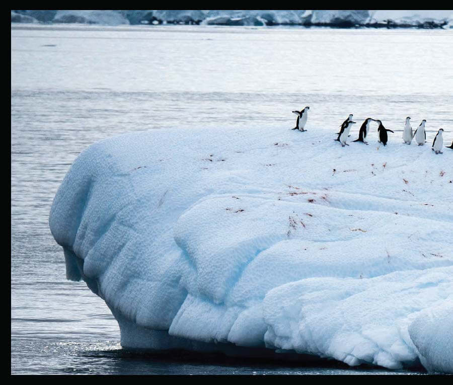 Antarctica Thumbnail 17 – John Kahan