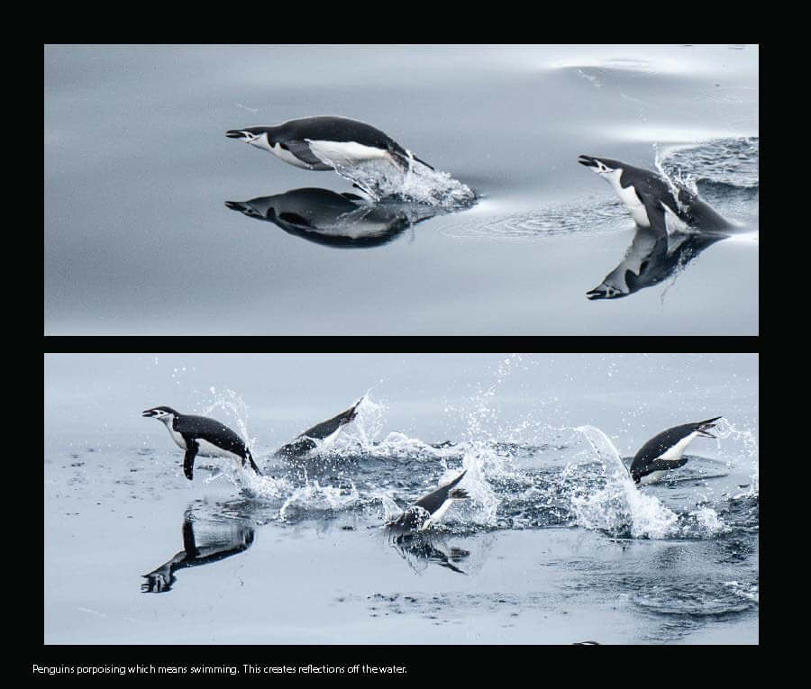 Antarctica Thumbnail 15 – John Kahan